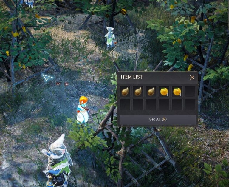 Guía Completa de Agricultura en Black Desert Online | CityGame