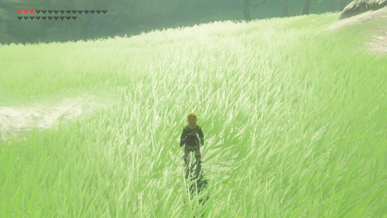 El Secreto del Pasto de Zelda: BOTW | CityGame