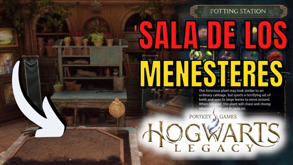 La Sala de los Menesteres: Guía Completa | CityGame
