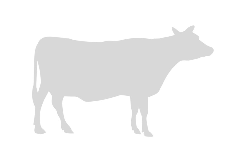 Encuentra la Vaca Invisible: Guía y Dónde Jugar | CityGame