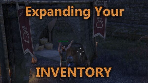 Guía Definitiva para Ampliar tu Inventario en ESO | CityGame